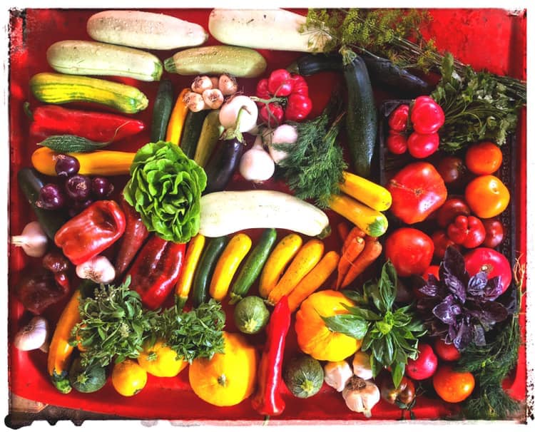 #Local – Diferențiatorul tăcut într-o piață care se reconfigurează